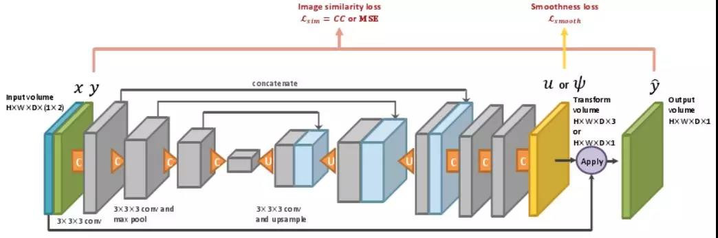 CVPR2019 | 医学影像：MIT 团队提出利用学习图像变换进行数据增强-极市开发者社区
