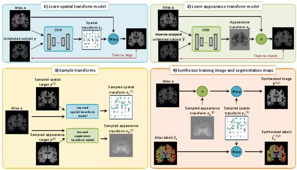 CVPR2019 | 医学影像：MIT 团队提出利用学习图像变换进行数据增强-极市开发者社区