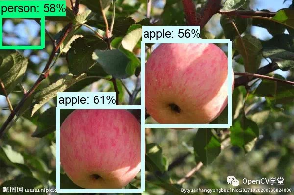 Tensorflow Object Detection Api 使用预训练模型 Mask R Cnn 实现对象检测 极市开发者社区