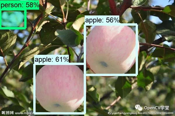 Tensorflow Object Detection Api 使用预训练模型 Mask R Cnn 实现对象检测 极市开发者社区