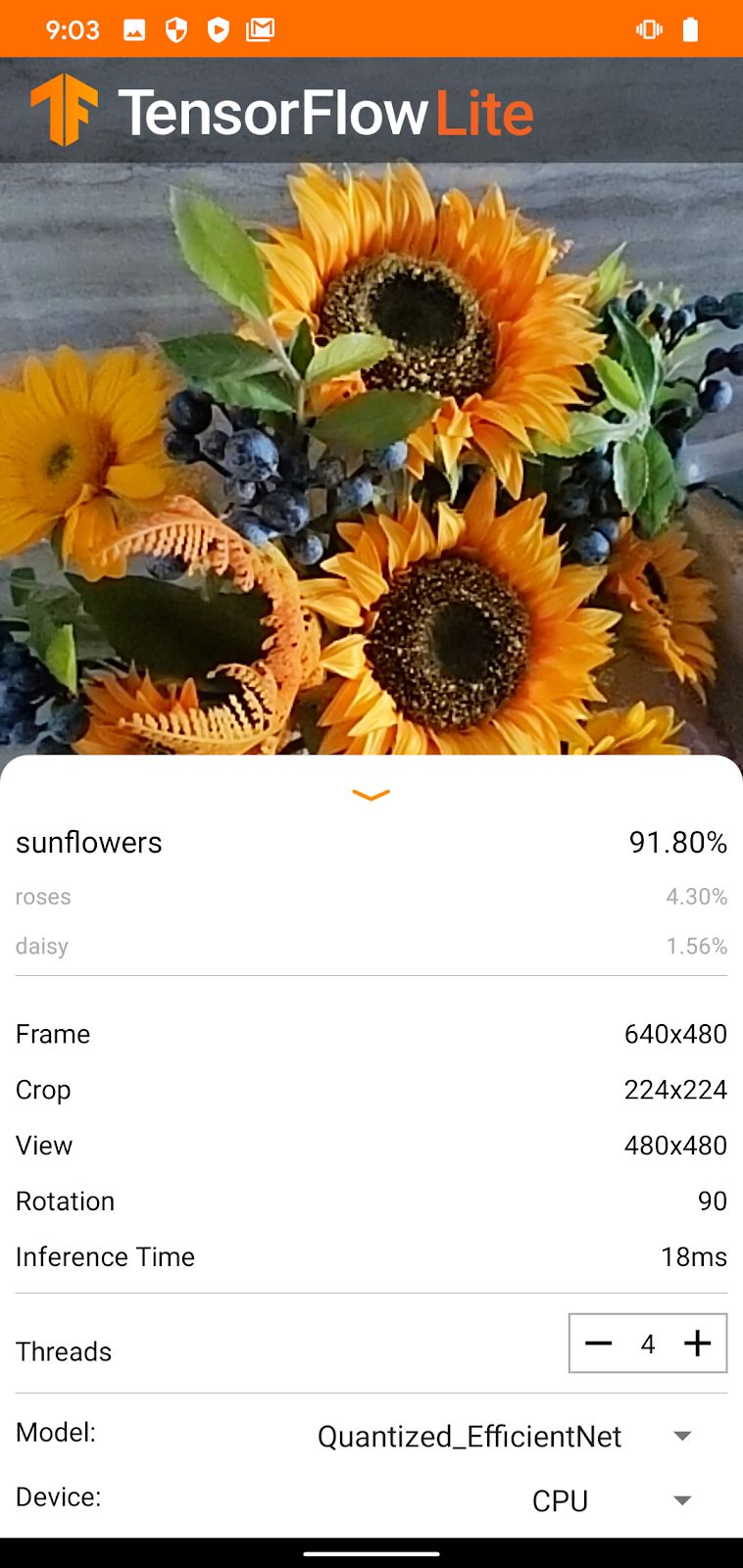 精度、延迟两不误，移动端性能新 SOTA，谷歌 TF 开源轻量级 EfficientNet-极市开发者社区