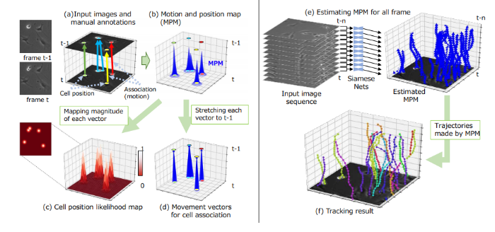 CVPR 2020 论文大盘点—目标跟踪篇-极市开发者社区