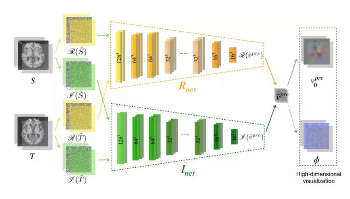 CVPR 2020 论文大盘点-医学影像处理识别篇-极市开发者社区