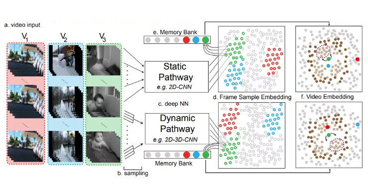 CVPR 2020 论文大盘点-动作识别篇-极市开发者社区