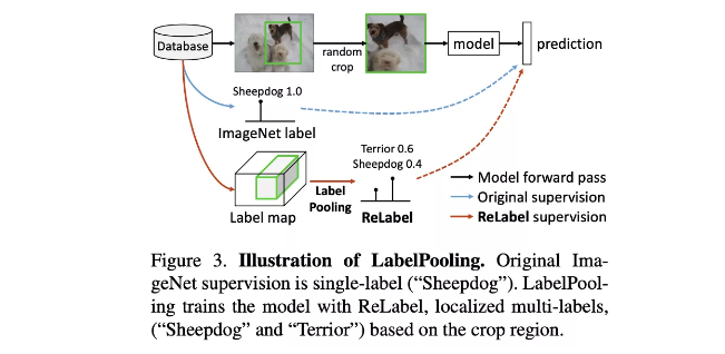 CVPR2021 佳作 | 重新标记 ImageNet：从全局标签到局部标签（附 GitHub 代码及论文）-极市开发者社区