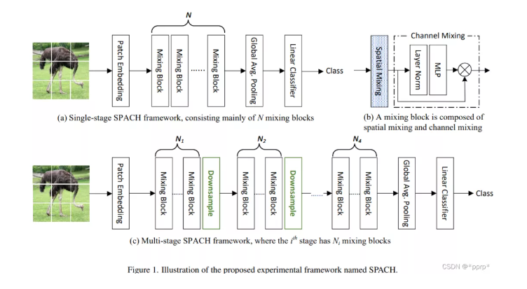 CNN、Transformer、MLP 架构的经验性分析-极市开发者社区