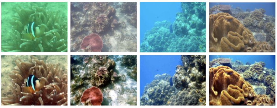 极市开发者平台-计算机视觉算法开发落地平台-极市科技