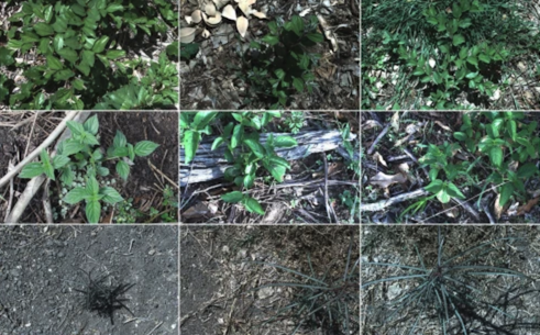 极市开发者平台-计算机视觉算法开发落地平台-极市科技